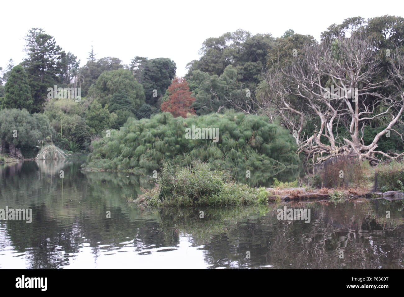 Park view at Royal Botanic Gardens in Melbourne Stock Photo - Alamy
