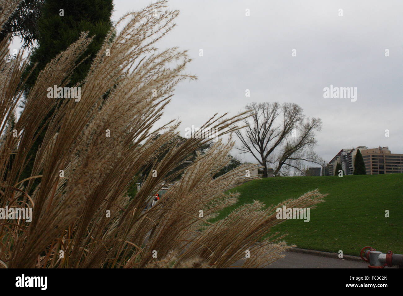Royal botanic garden melbourne victoria hi-res stock photography and ...