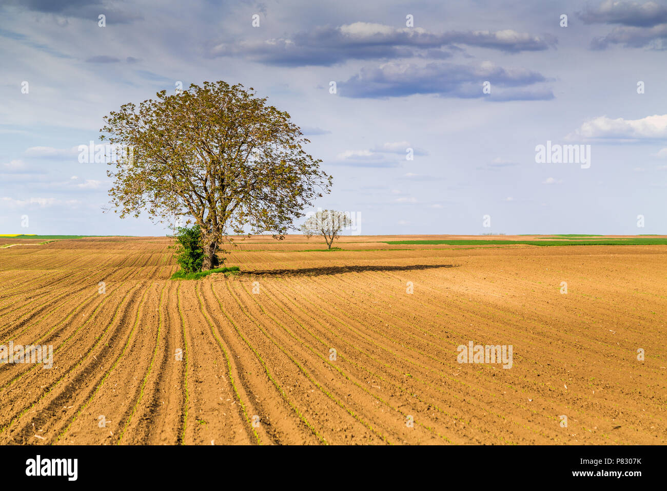 Grow crops hi-res stock photography and images - Alamy