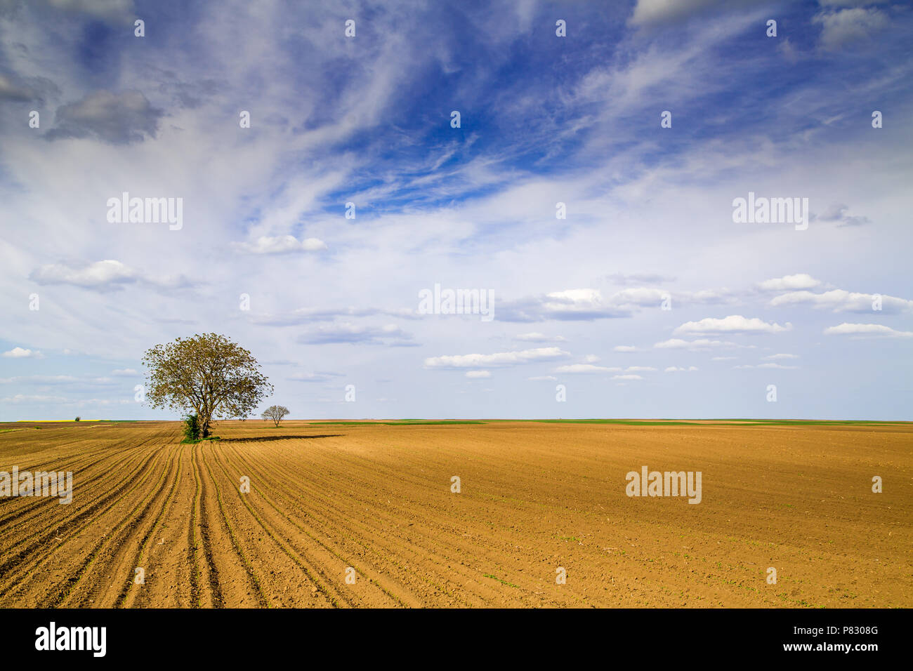 Agricultural landscape, arable crop field. Arable land is the land ...
