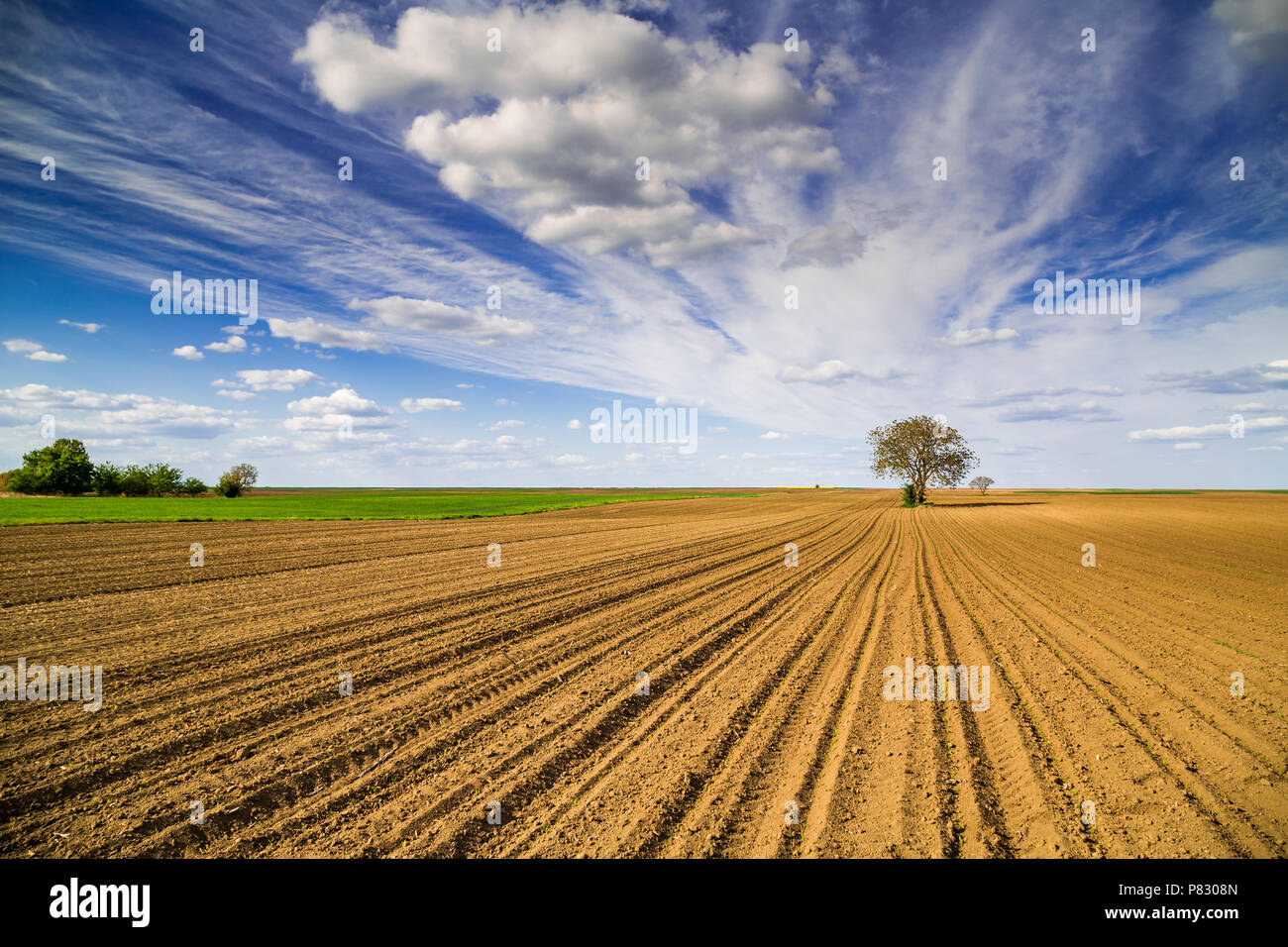 Agricultural landscape, arable crop field. Arable land is the land ...