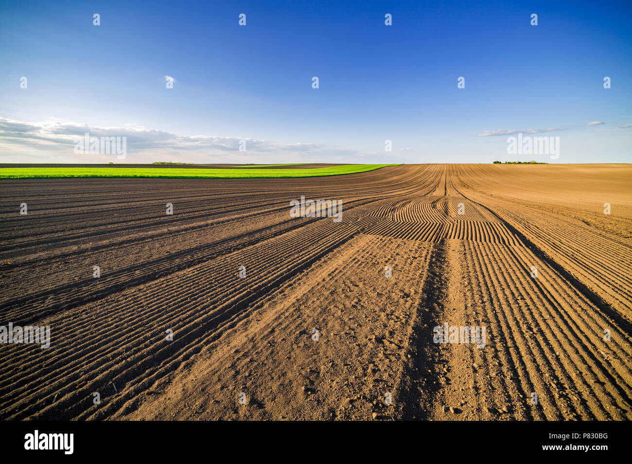 Agricultural landscape, arable crop field. Arable land is the land ...
