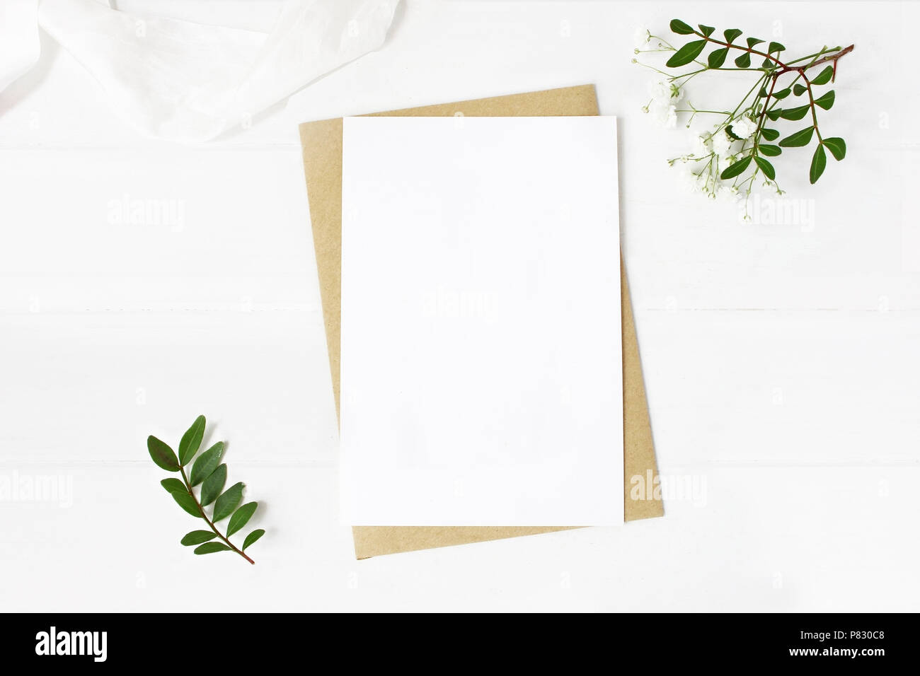 Blank Greeting Card Stock