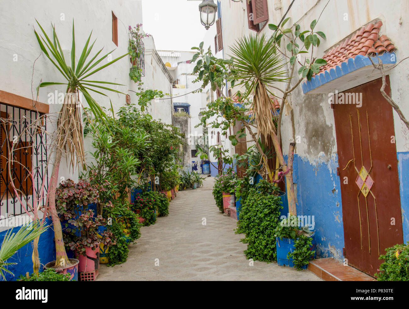 Asilah, Morocco. The Ramparts Stock Photo - Alamy
