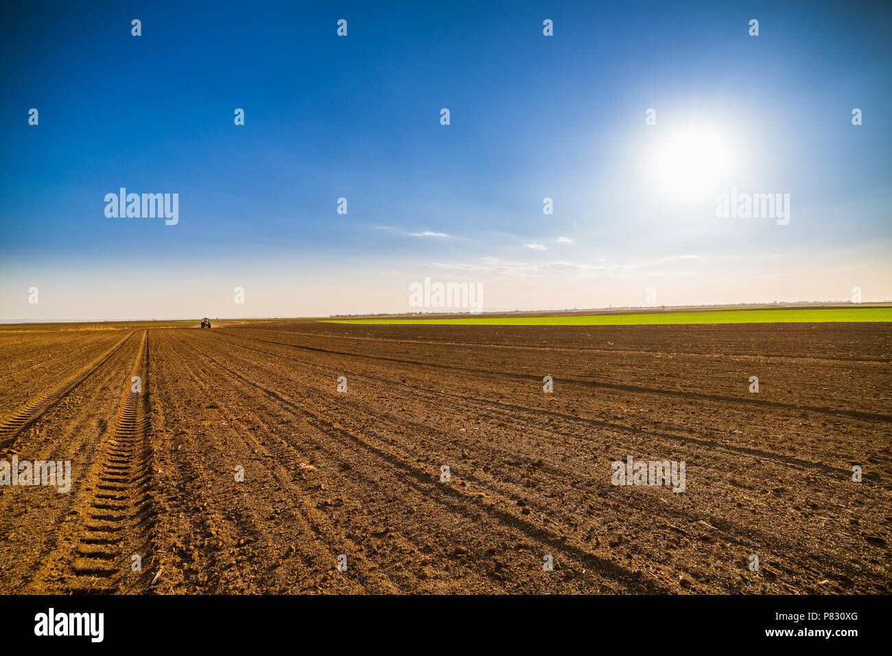Agricultural landscape, arable crop field. Arable land is the land ...