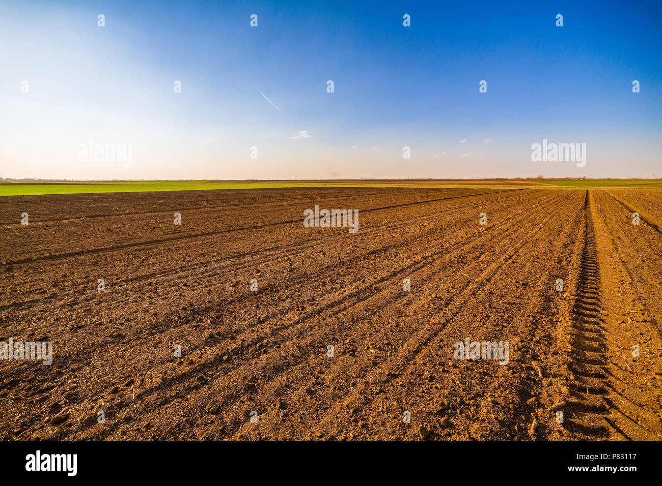 Agricultural landscape, arable crop field. Arable land is the land ...