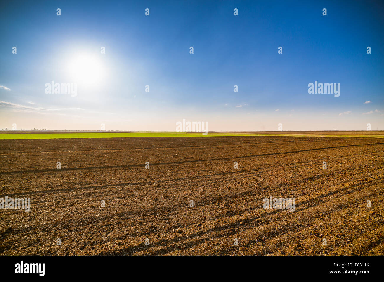 Agricultural landscape, arable crop field. Arable land is the land ...