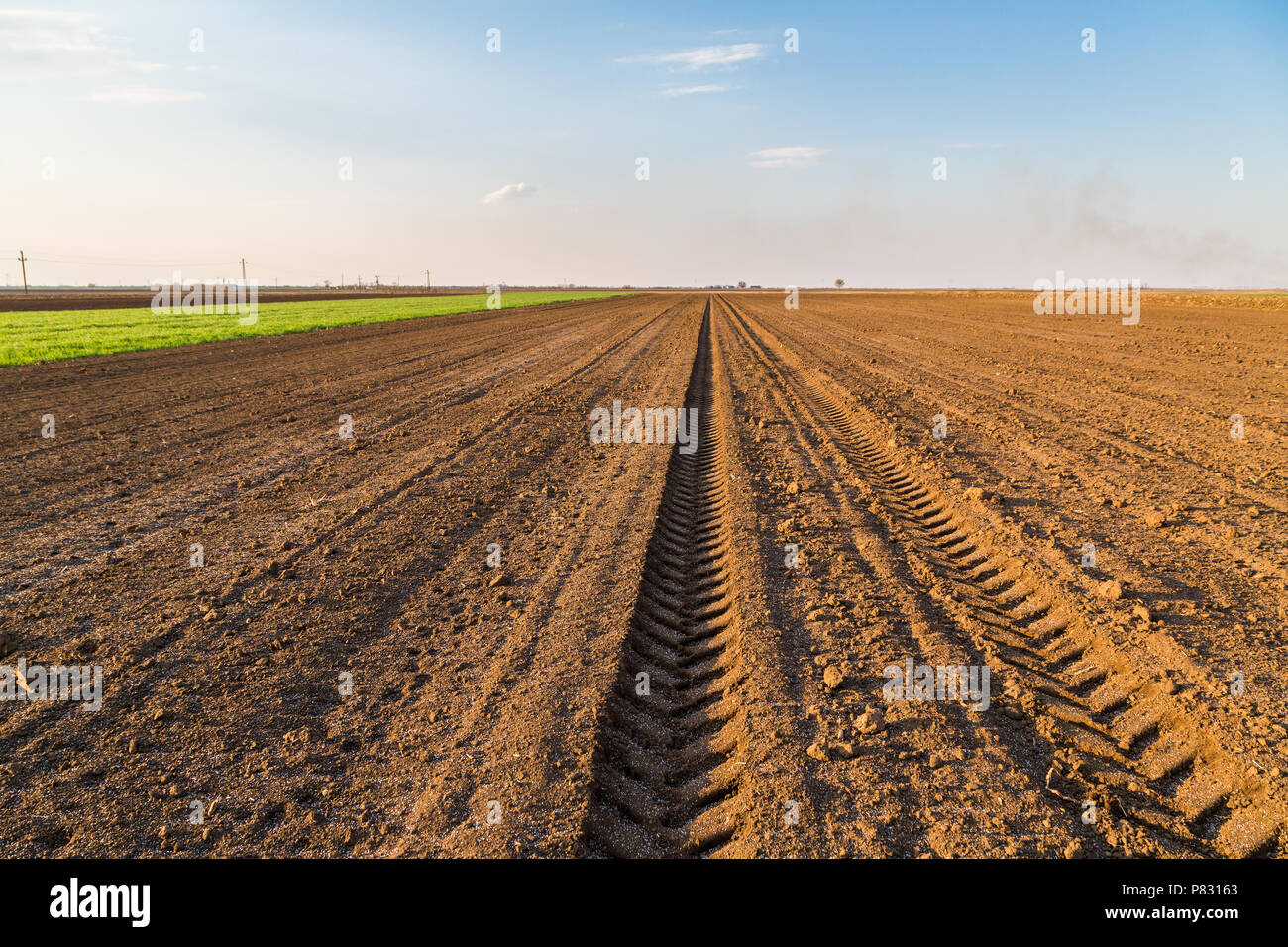 Agricultural landscape, arable crop field. Arable land is the land ...