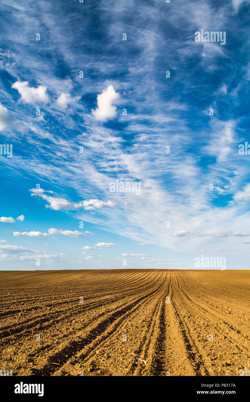 Agricultural landscape, arable crop field. Arable land is the land ...