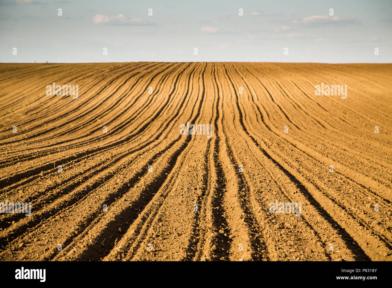 Agricultural landscape, arable crop field. Arable land is the land ...