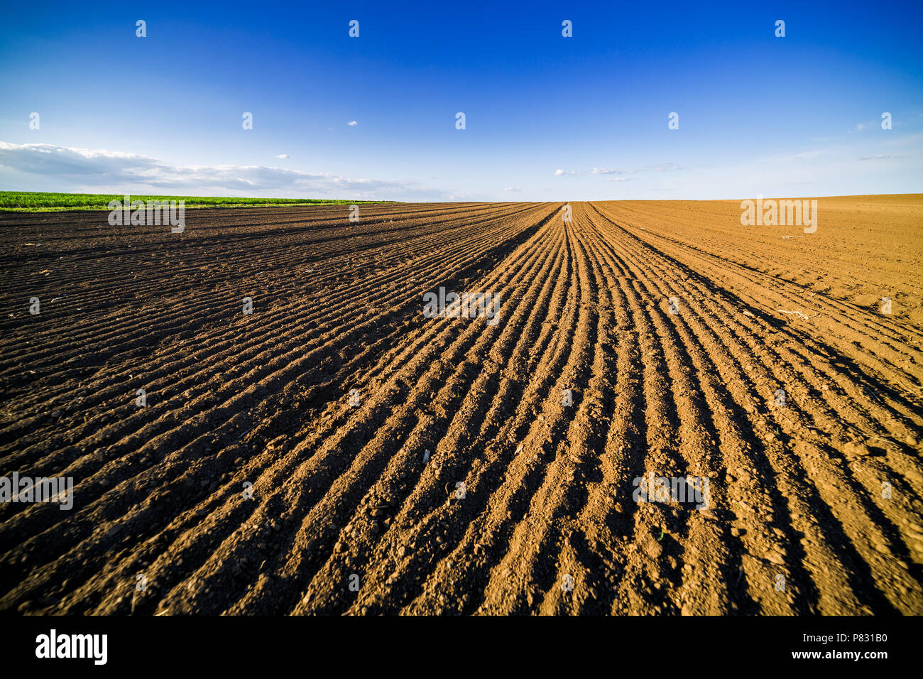 Agricultural landscape, arable crop field. Arable land is the land ...