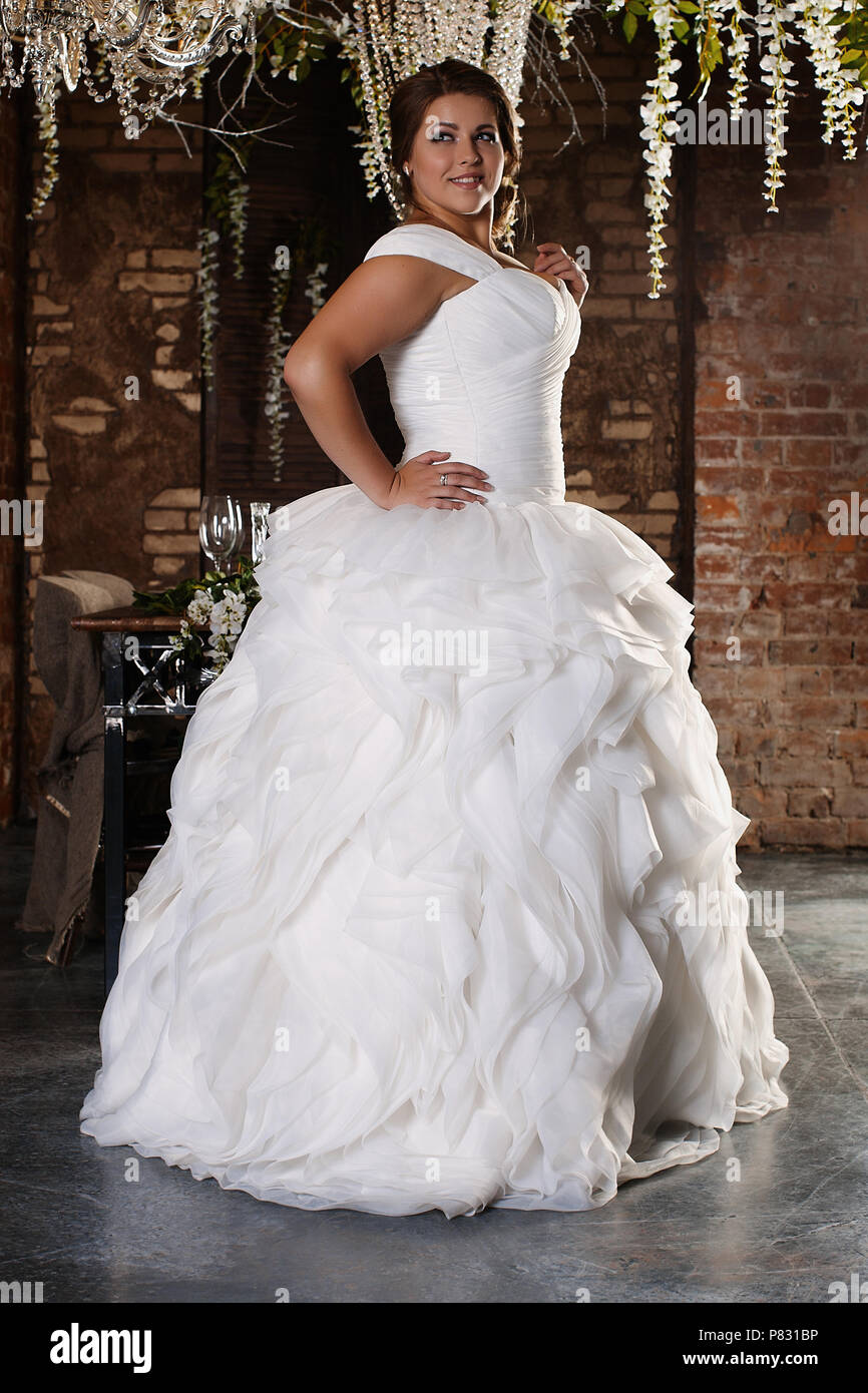 Portrait of a beautiful bride. Lace dress. Wedding hairstyle and makeup ...