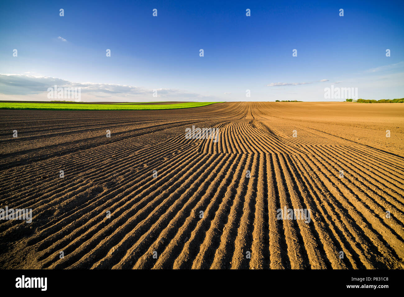 Agricultural landscape, arable crop field. Arable land is the land ...