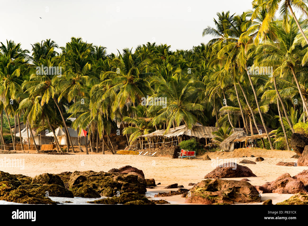 Beautiful and relaxing beach flanked by green palm trees at sunset ...