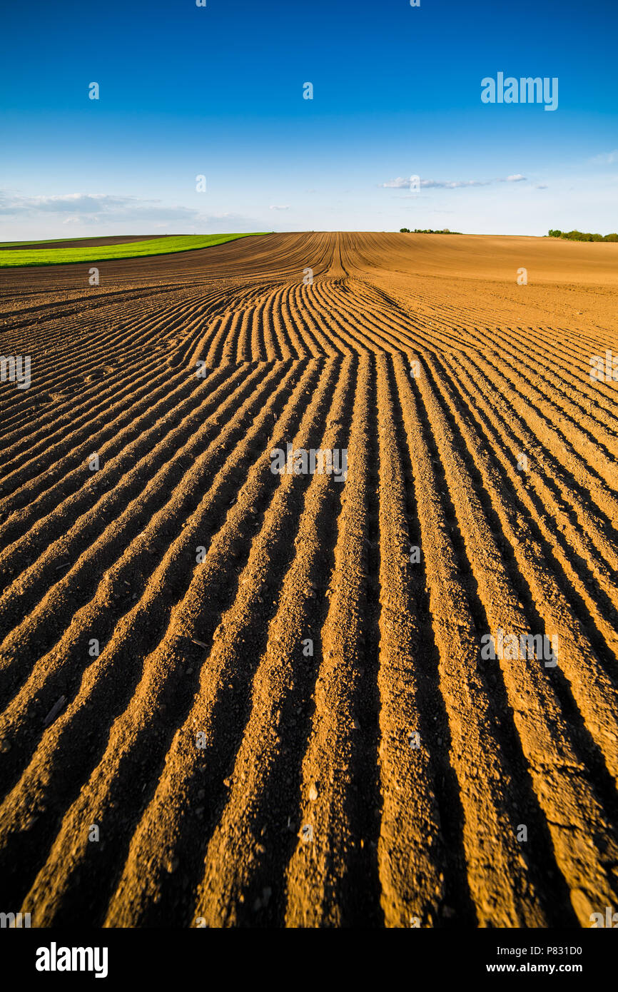 Agricultural landscape, arable crop field. Arable land is the land ...