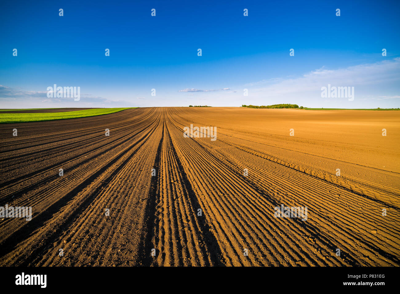 Agricultural landscape, arable crop field. Arable land is the land ...