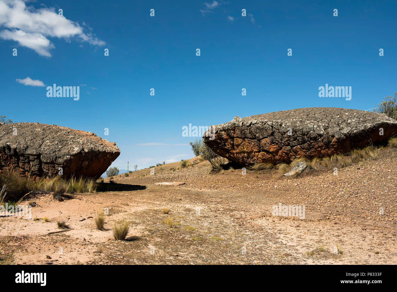 Turtle shaped rock hi-res stock photography and images - Alamy