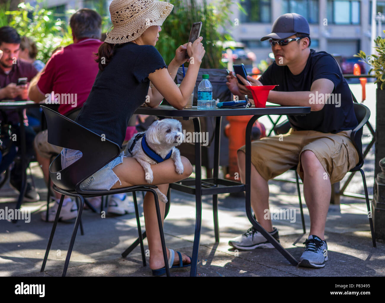 Asian couple on holiday in Portland, Oregon, USA Stock Photo - Alamy
