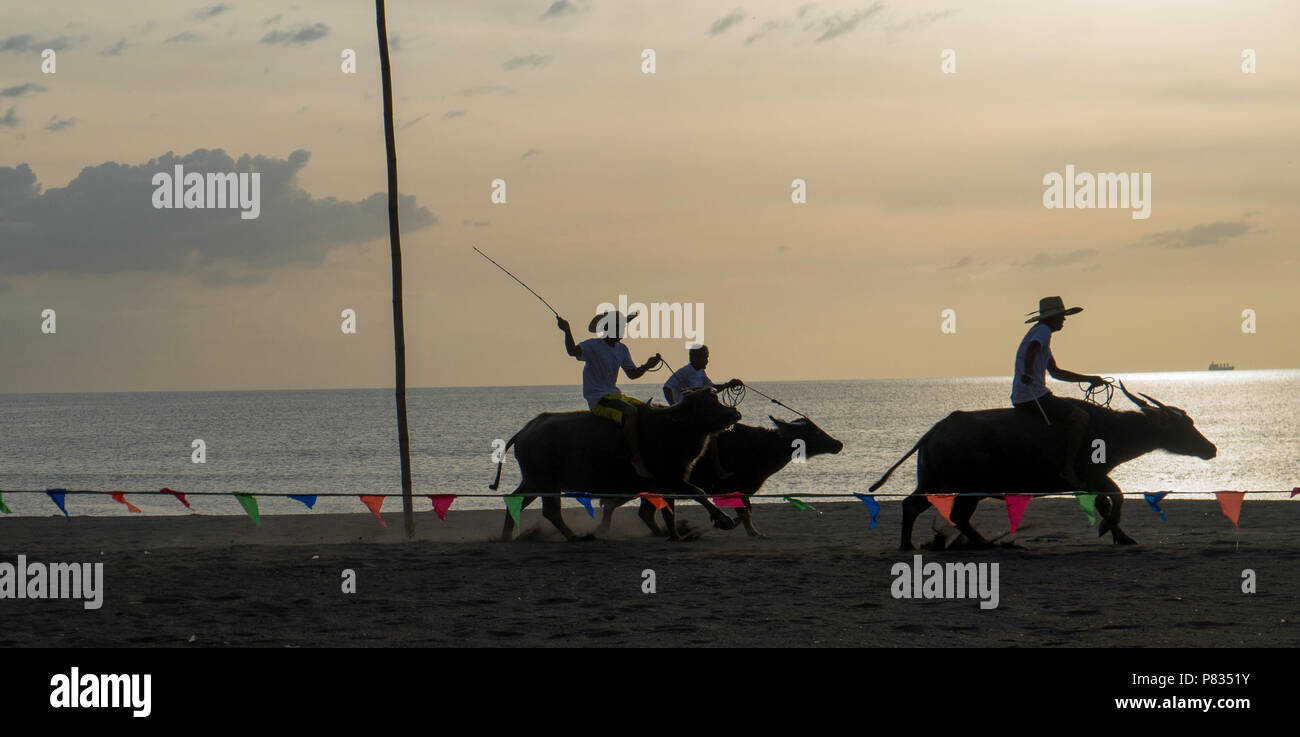 Kalabaw hi-res stock photography and images - Alamy