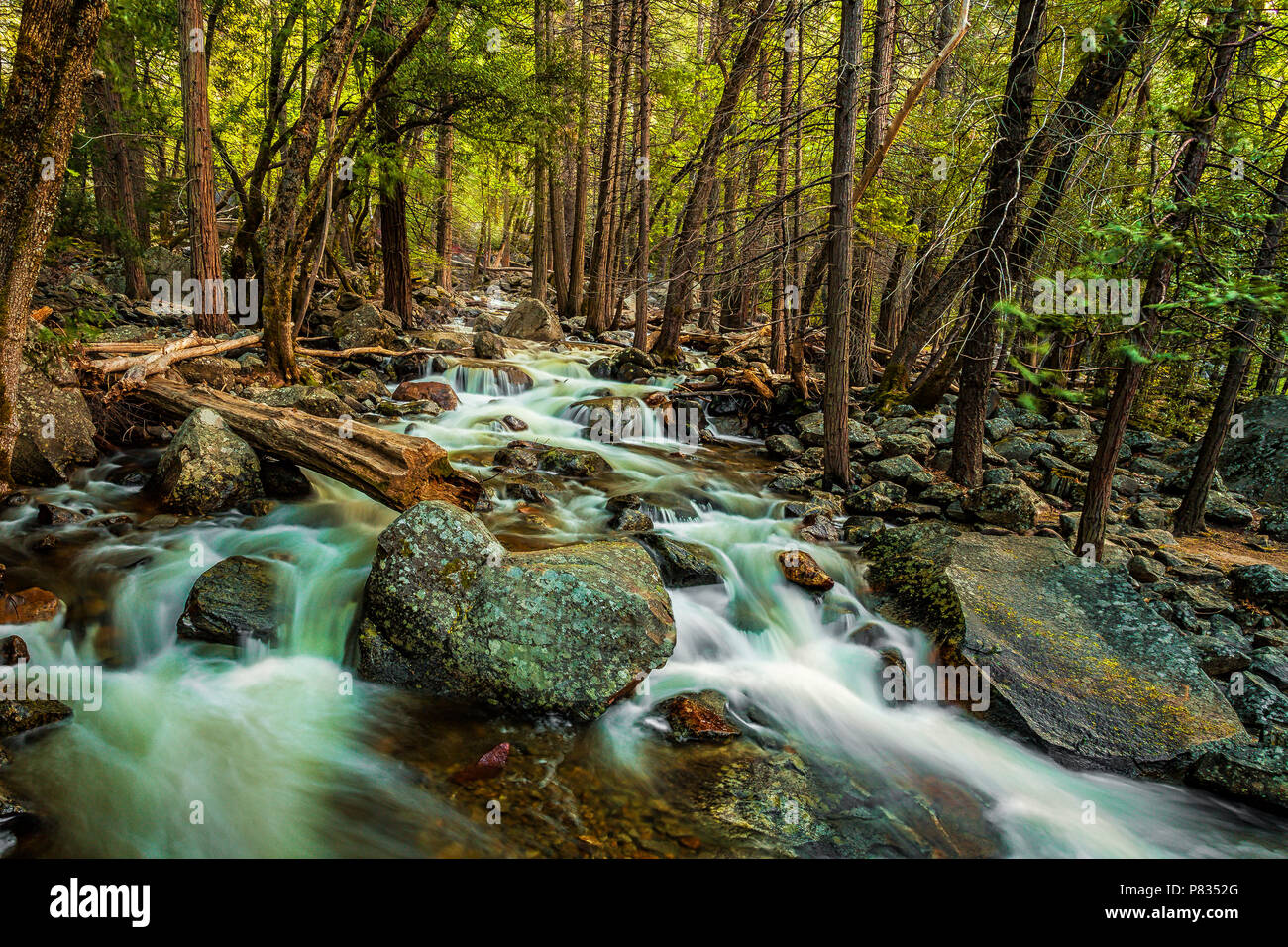Sierra nevada mountain stream hi-res stock photography and images - Alamy