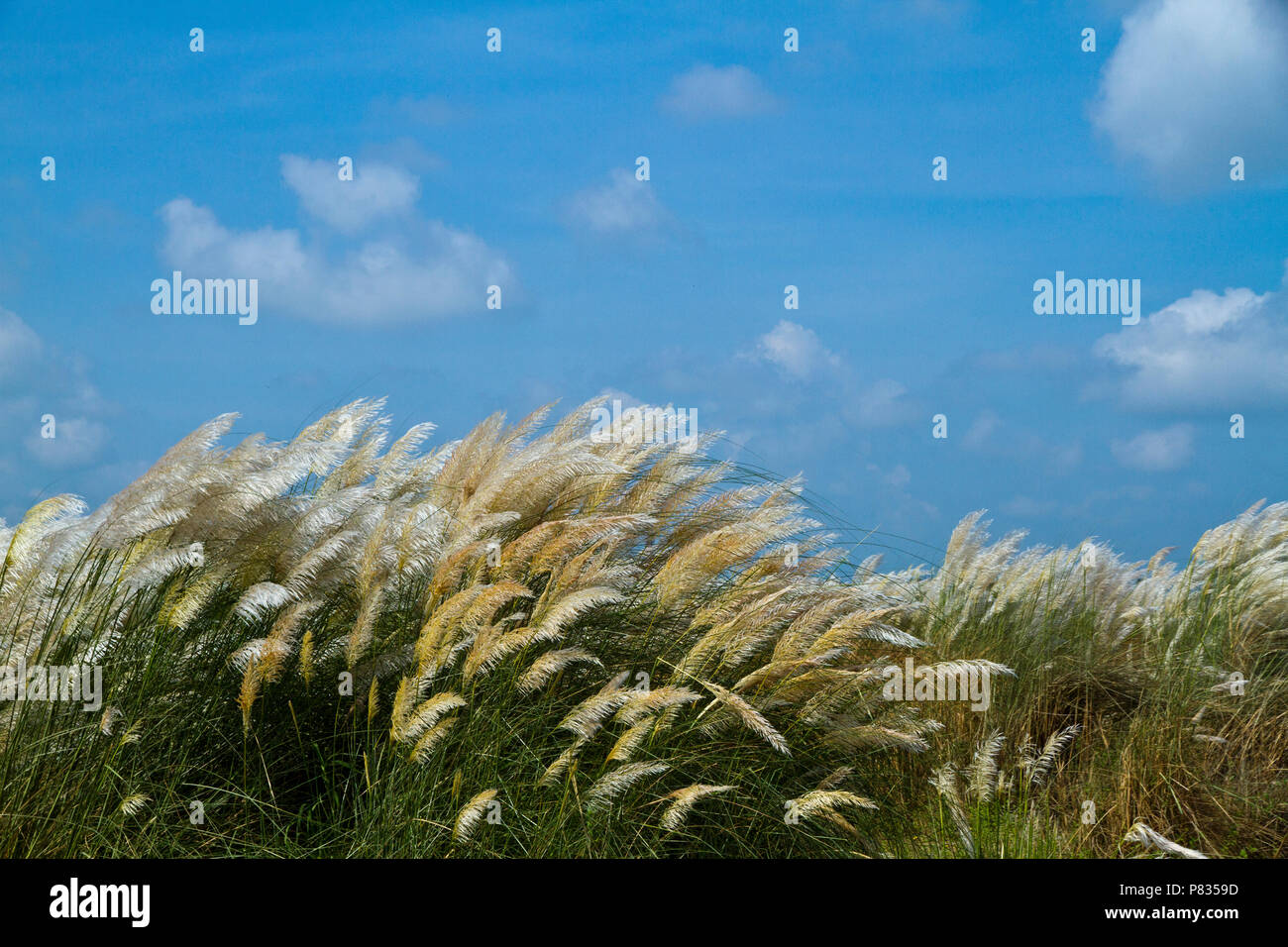 Sky with kashful hi-res stock photography and images - Alamy