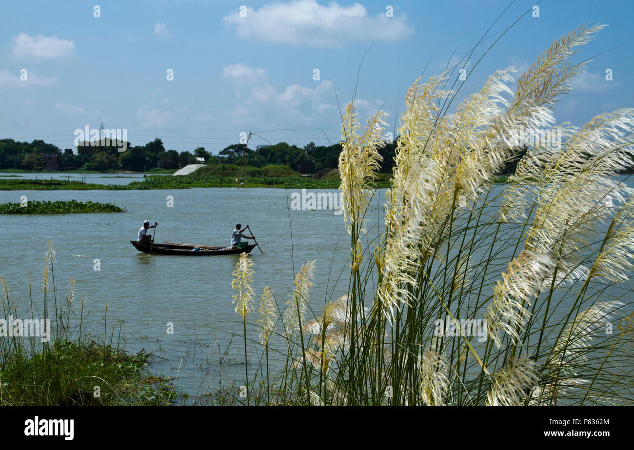Kashful High Resolution Stock Photography and Images - Alamy