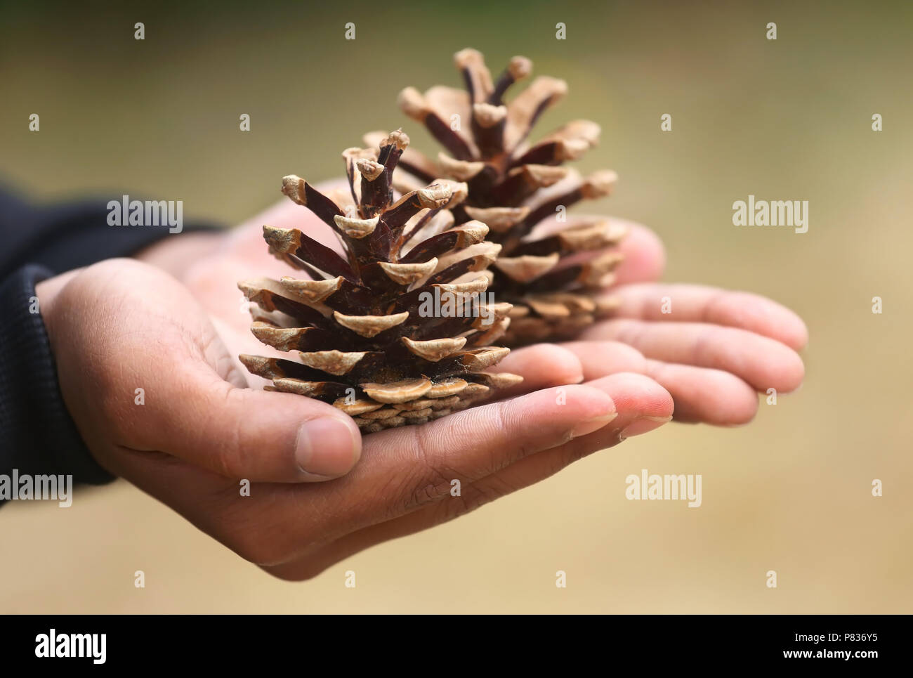 Hand holding cone hi-res stock photography and images - Alamy