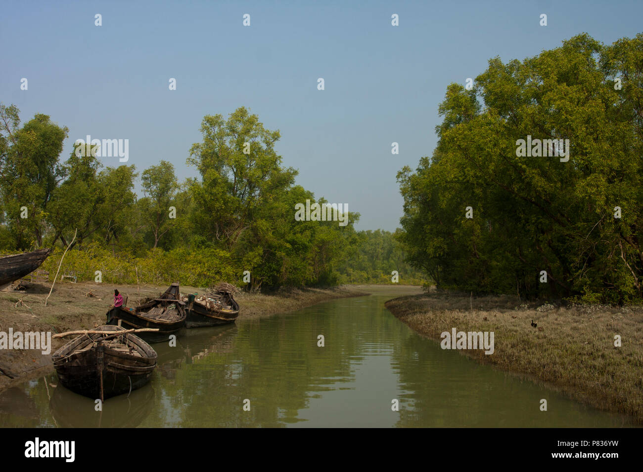There are many canals around the Nijhum Dwip carry tidal salty water ...