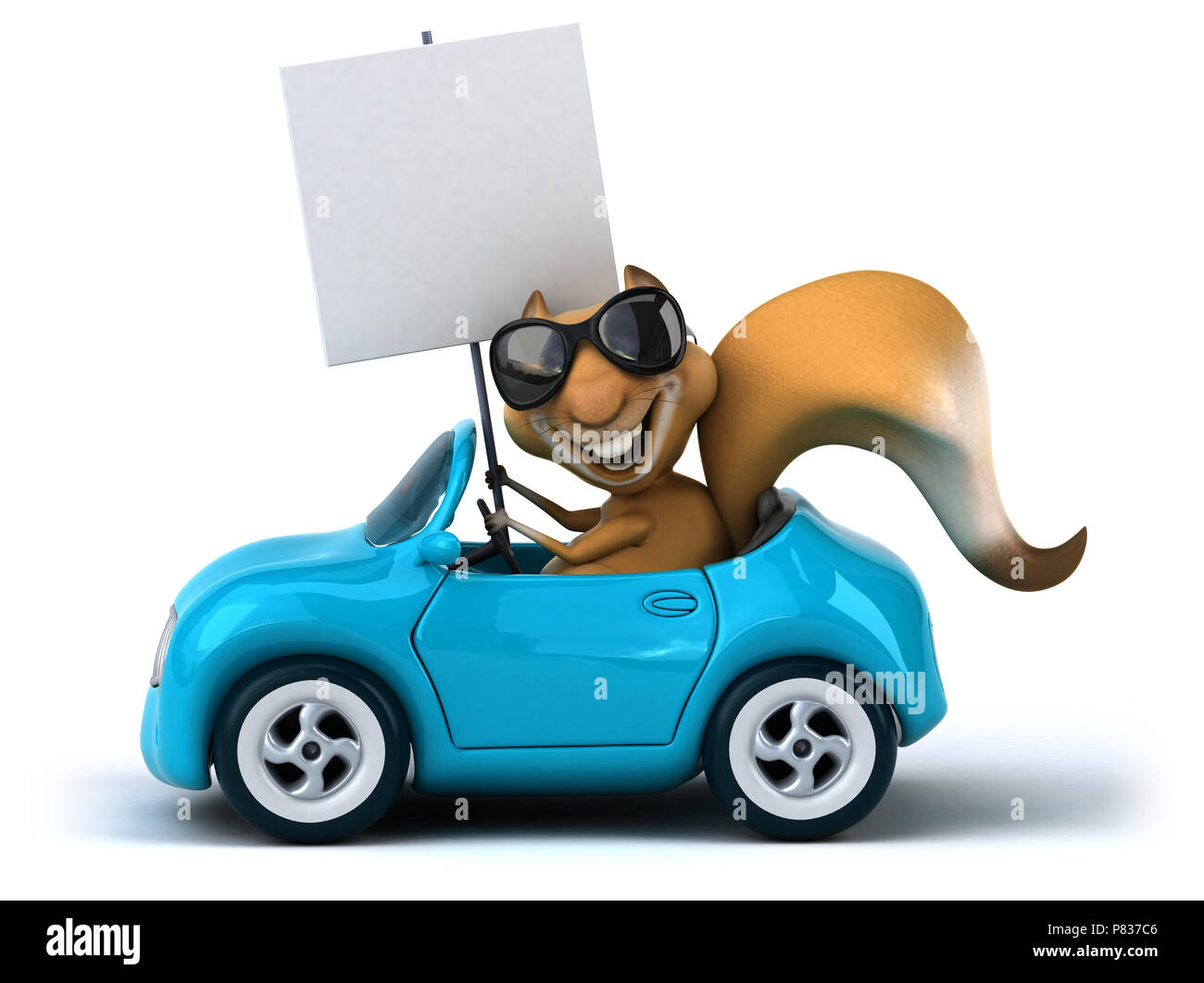 Squirrel driving hi-res stock photography and images - Alamy