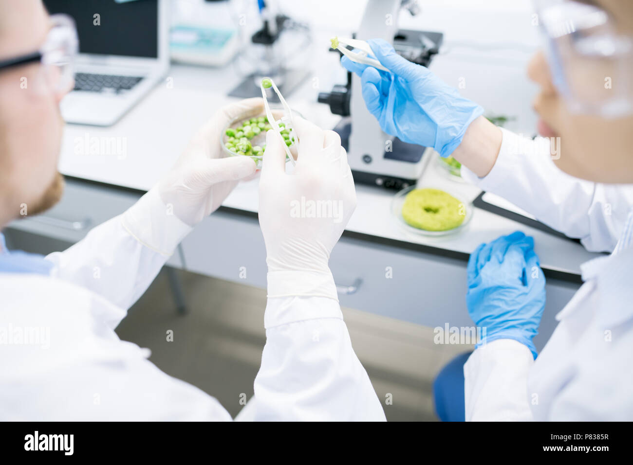 Scientists Doing Research in Laboratory Stock Photo - Alamy