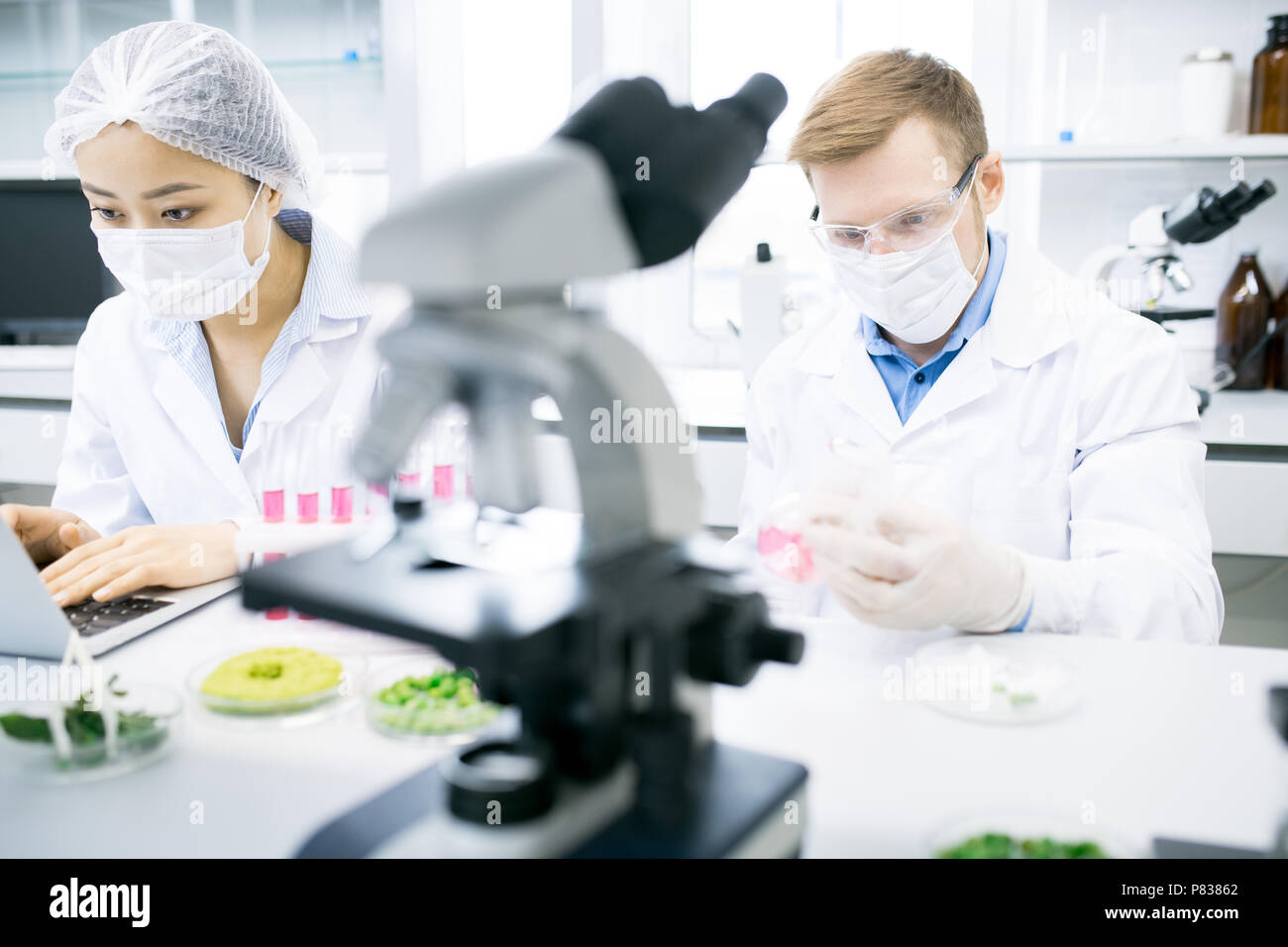 Two Scientists Doing Research in Lab Stock Photo - Alamy