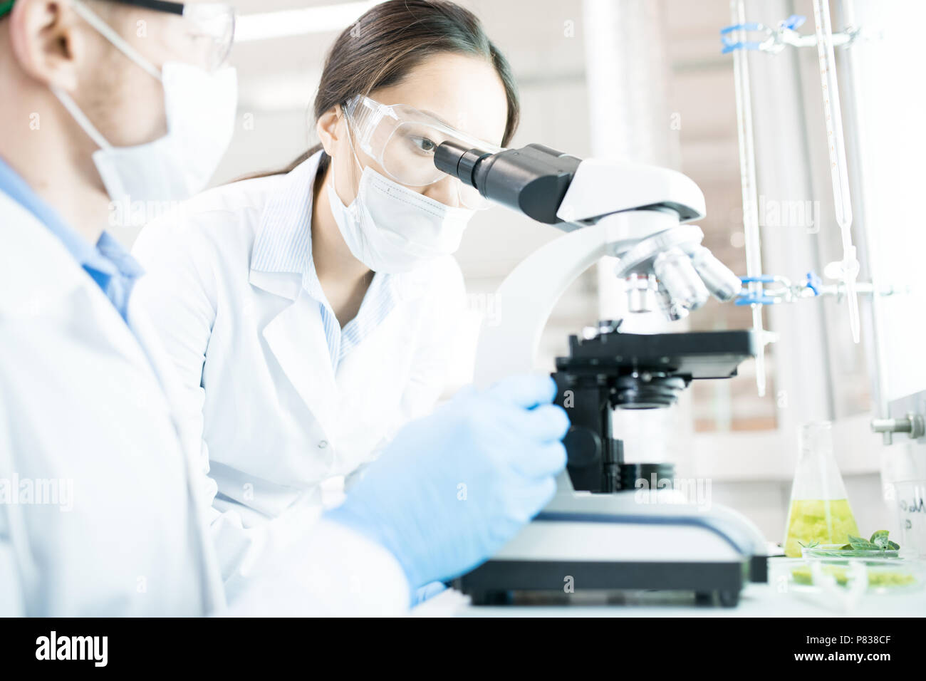 Female Scientist Working in Lab Stock Photo - Alamy