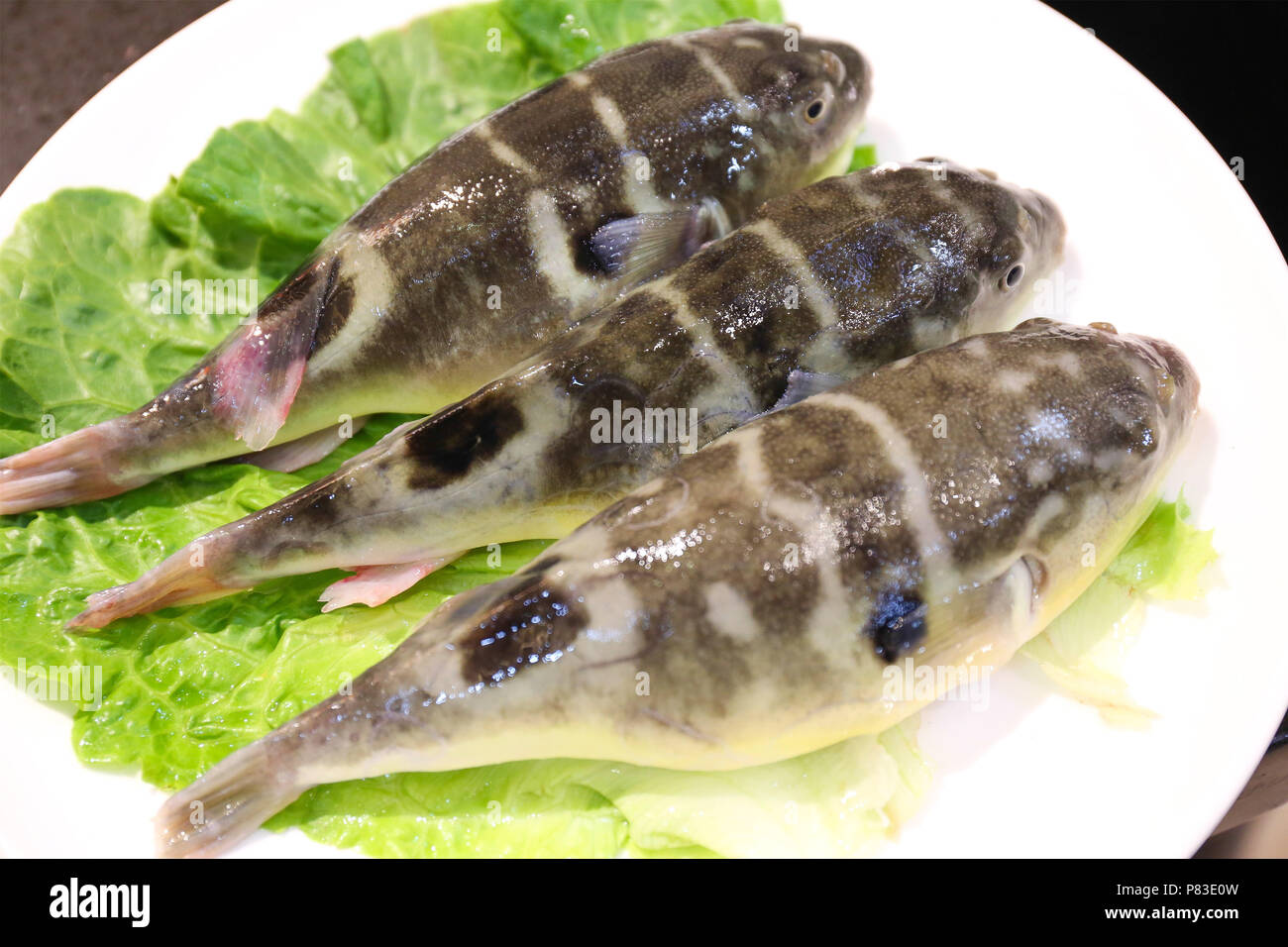 Guangdong hotpot hi-res stock photography and images - Alamy