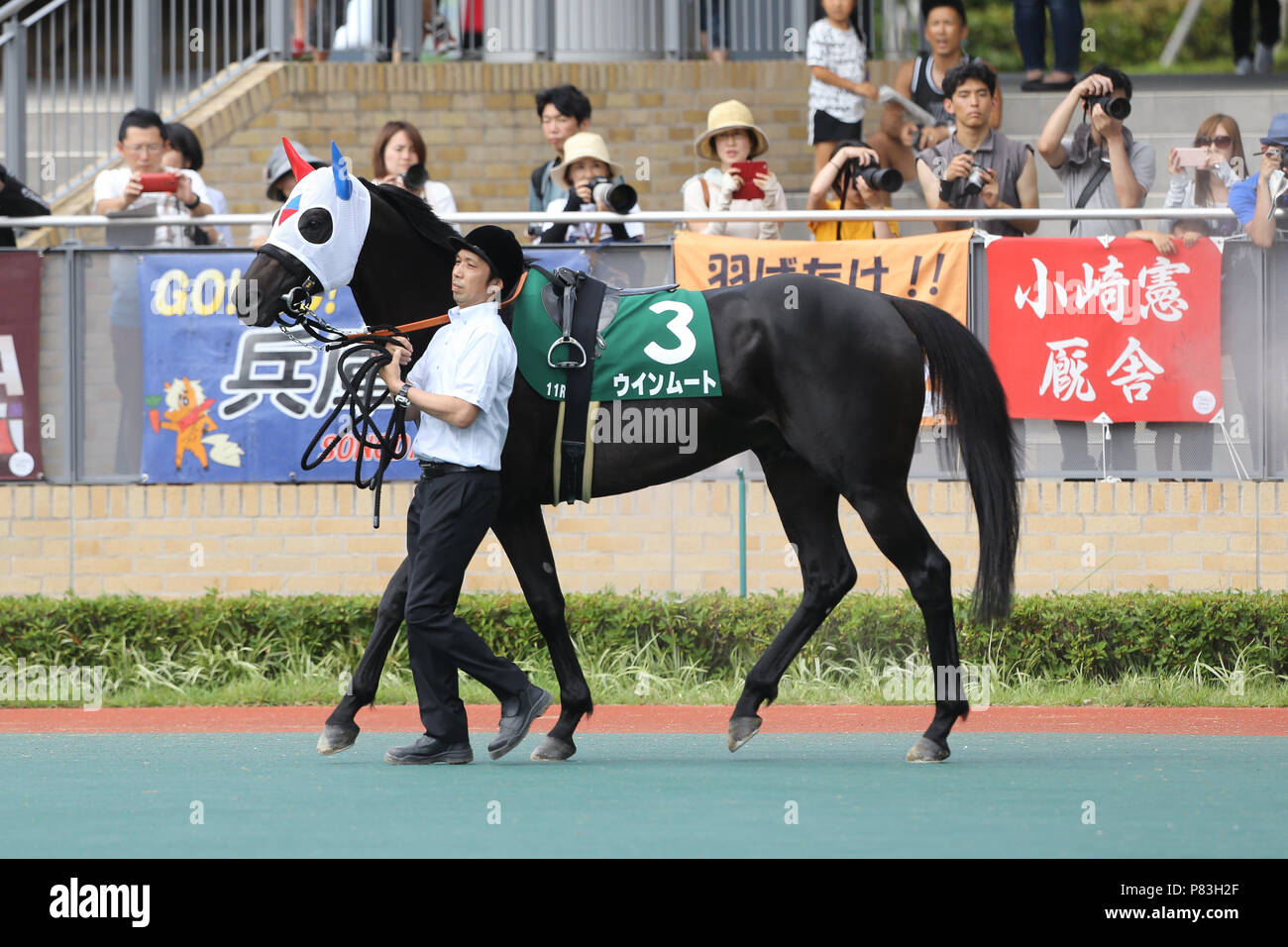 Aichi, Japan. 8th July, 2018. Win Mut Horse Racing : Win Mut is led ...