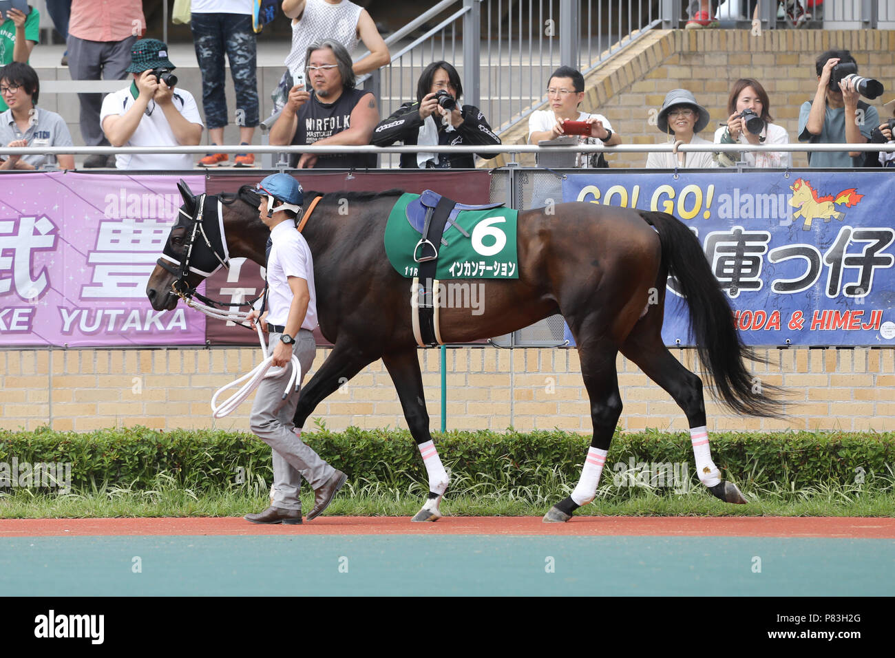 Procyon Stakes High Resolution Stock Photography and Images - Alamy