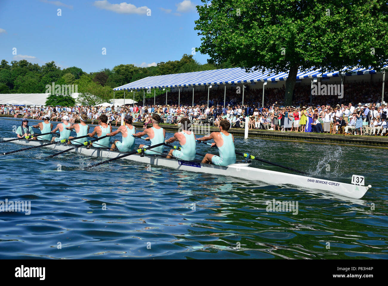 The princess royal henley royal regatta hi-res stock photography and ...