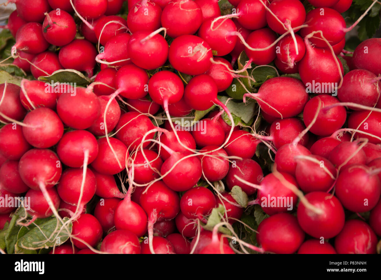 Red fresh radish on market. Vegetables background Stock Photo - Alamy