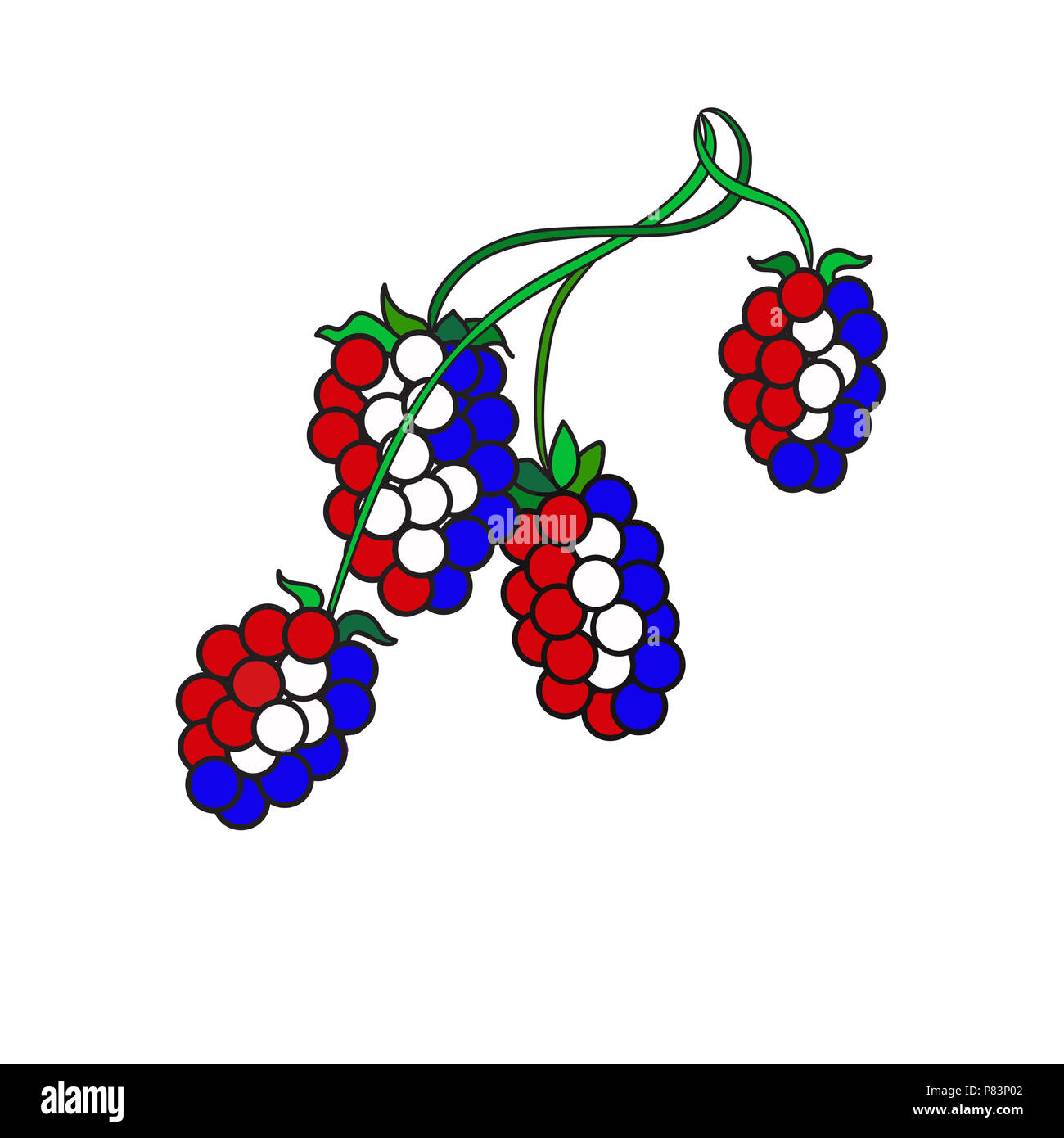 Raspberries drawing hi-res stock photography and images - Alamy