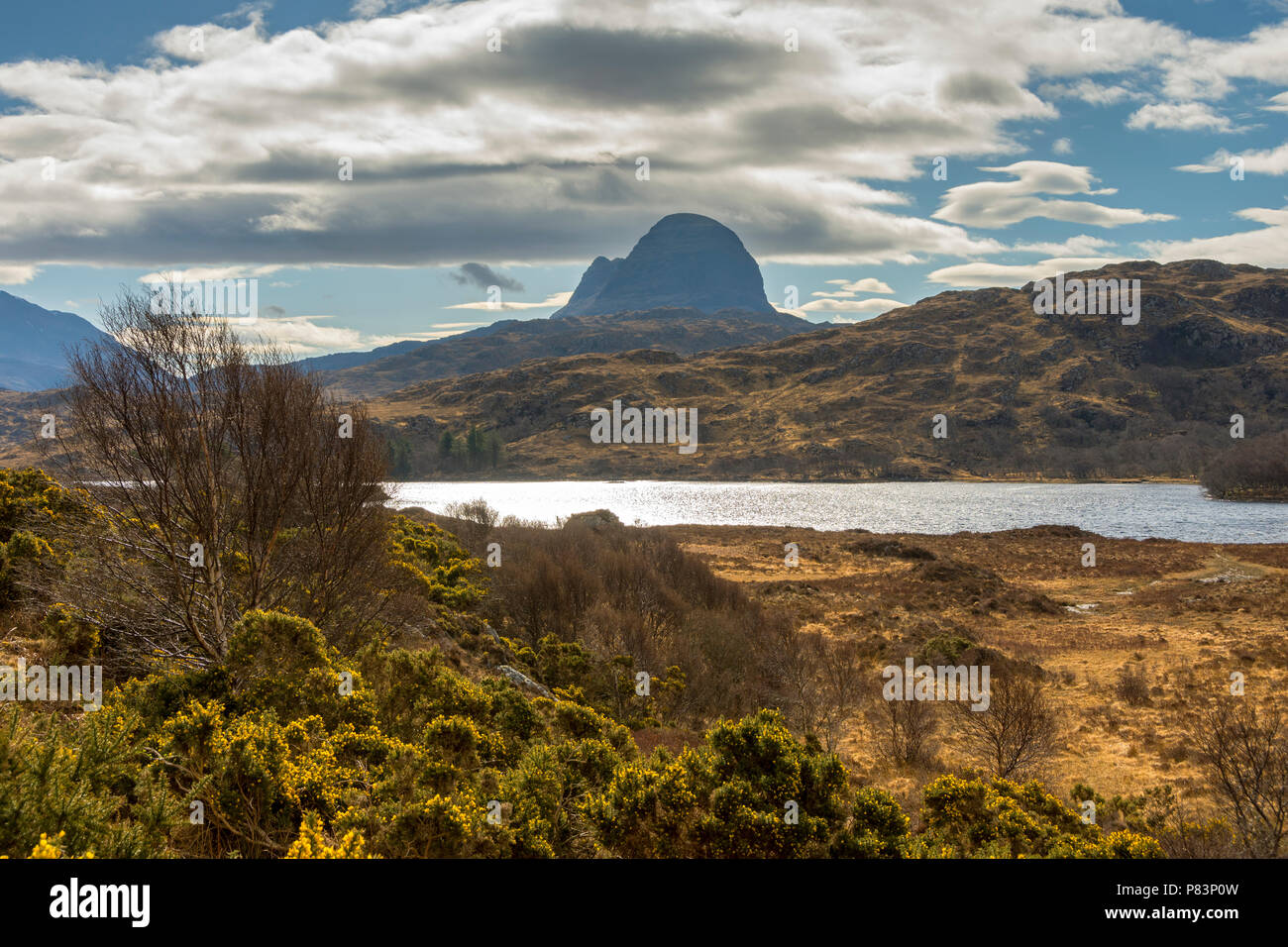 Glen canisp forest hi-res stock photography and images - Alamy