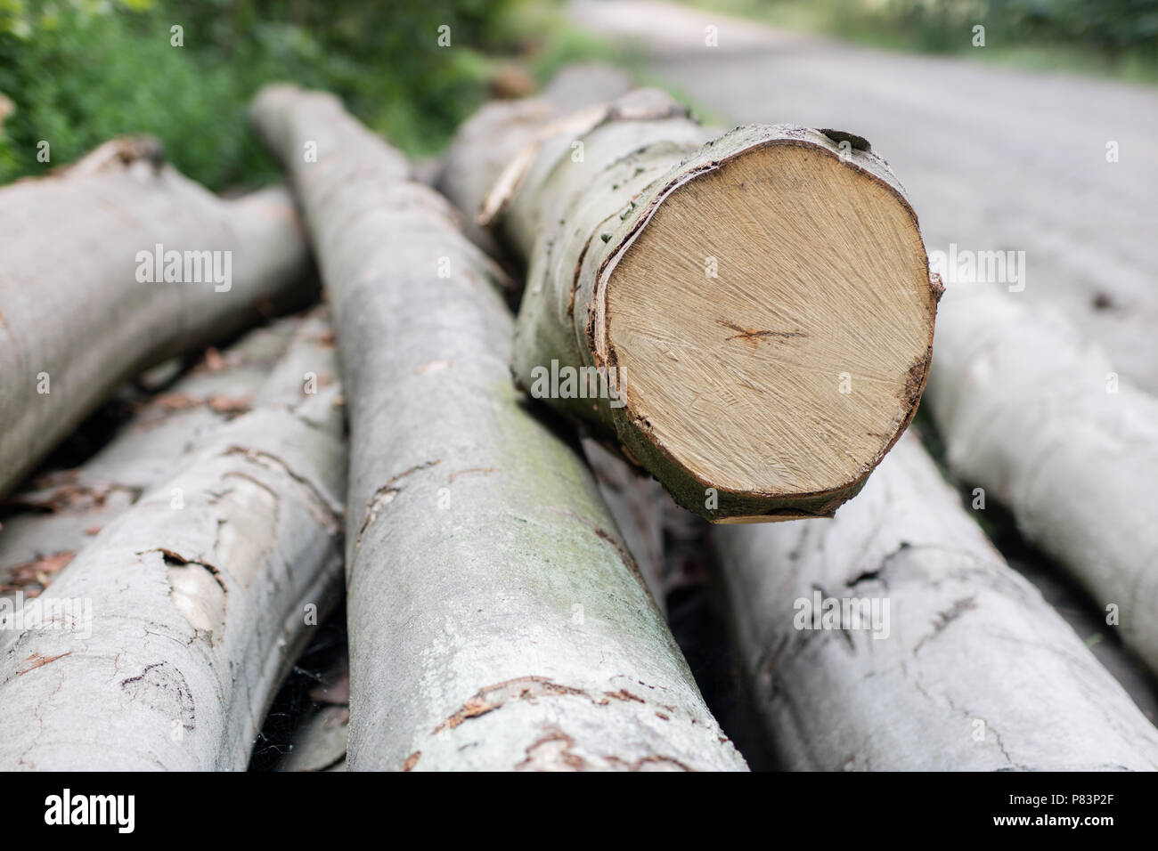 Log clamp hi-res stock photography and images - Alamy