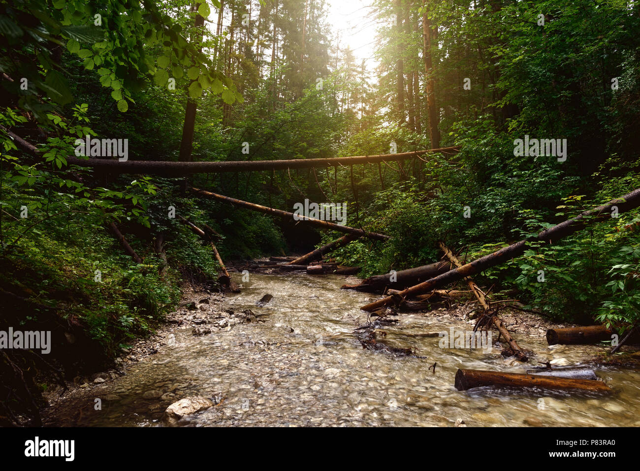 Sucha Bela Canyon, Slovak Paradise, Slovakia. Landscape with mountain ...