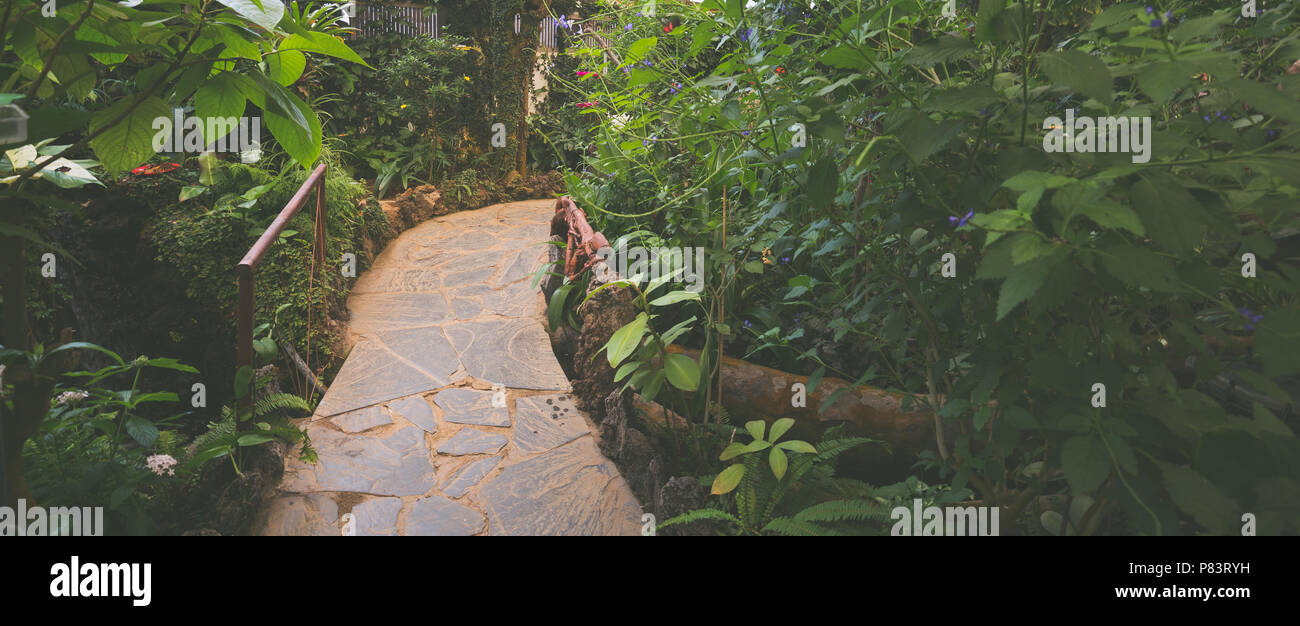 Concrete tile path along jungle flora Stock Photo - Alamy