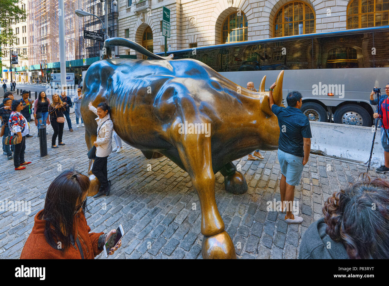 Brazen Bull Stock Photos & Brazen Bull Stock Images - Alamy