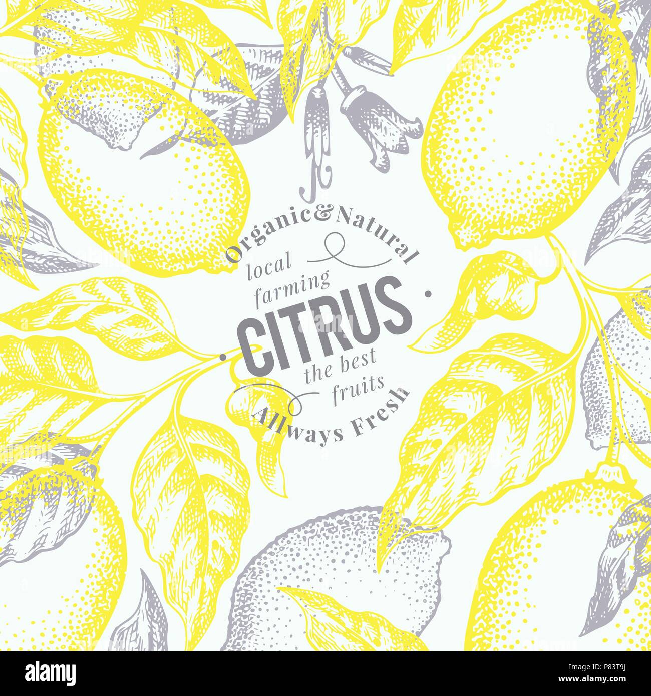 Lemon tree banner template. Hand drawn vector fruit illustration ...