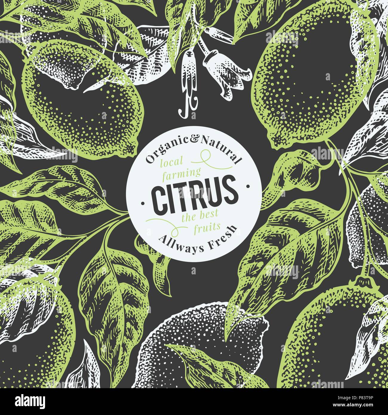 Lemon tree banner template. Hand drawn vector fruit illustration ...