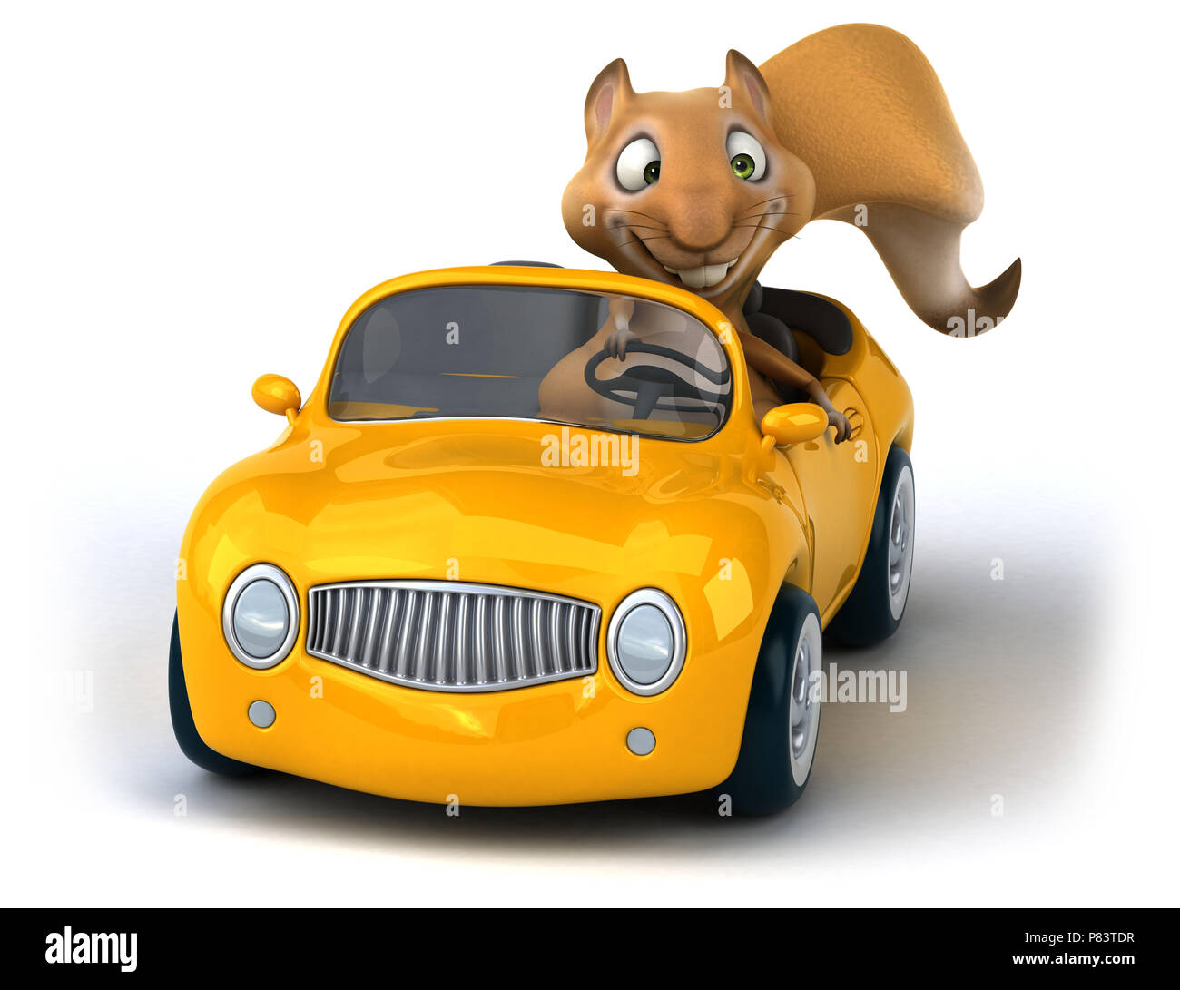 Squirrel driving hi-res stock photography and images - Alamy
