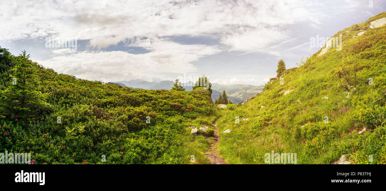 Panorama nature trail hi-res stock photography and images - Alamy