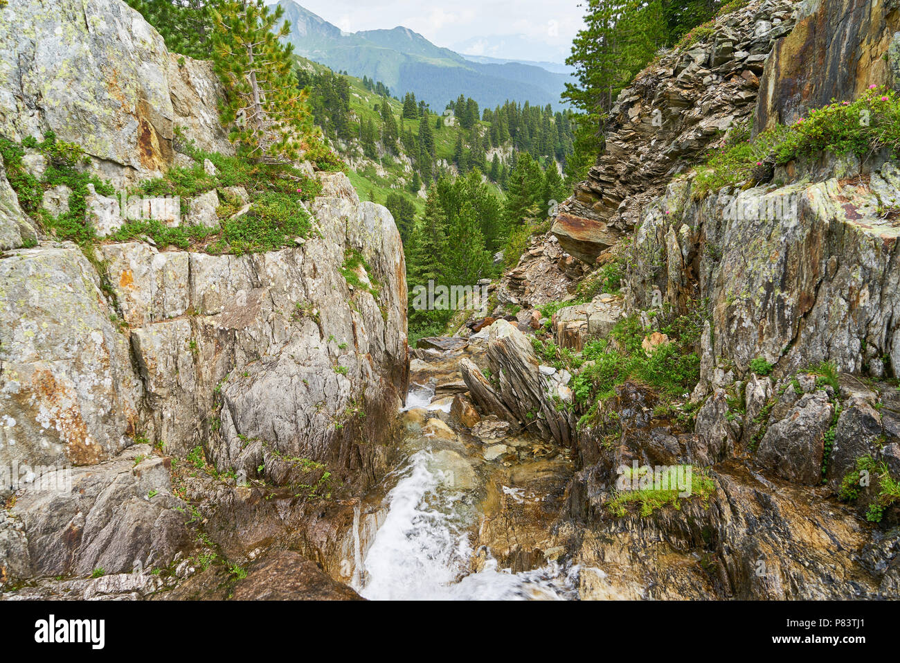 Stream in the alps hi-res stock photography and images - Alamy