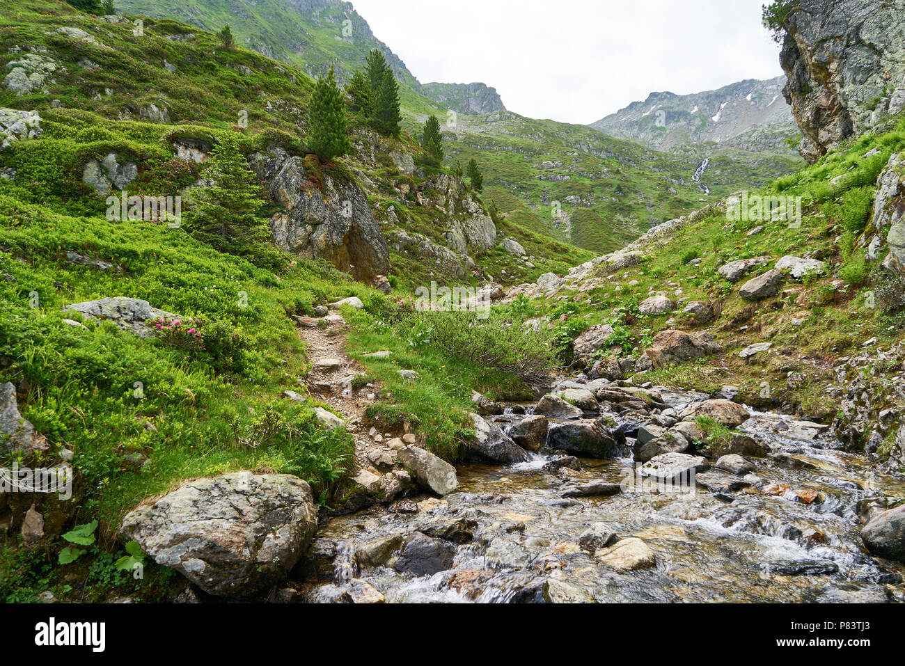Small mountain stream with stones in the Alps in summer Stock Photo - Alamy