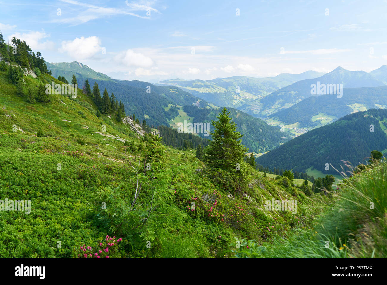 Alps panorama hi-res stock photography and images - Alamy